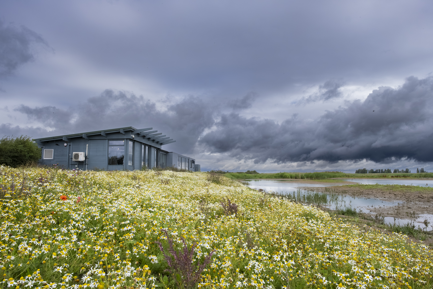 Winging It: Networking at RSPB Frampton Marsh - Lincolnshire Chamber of ...