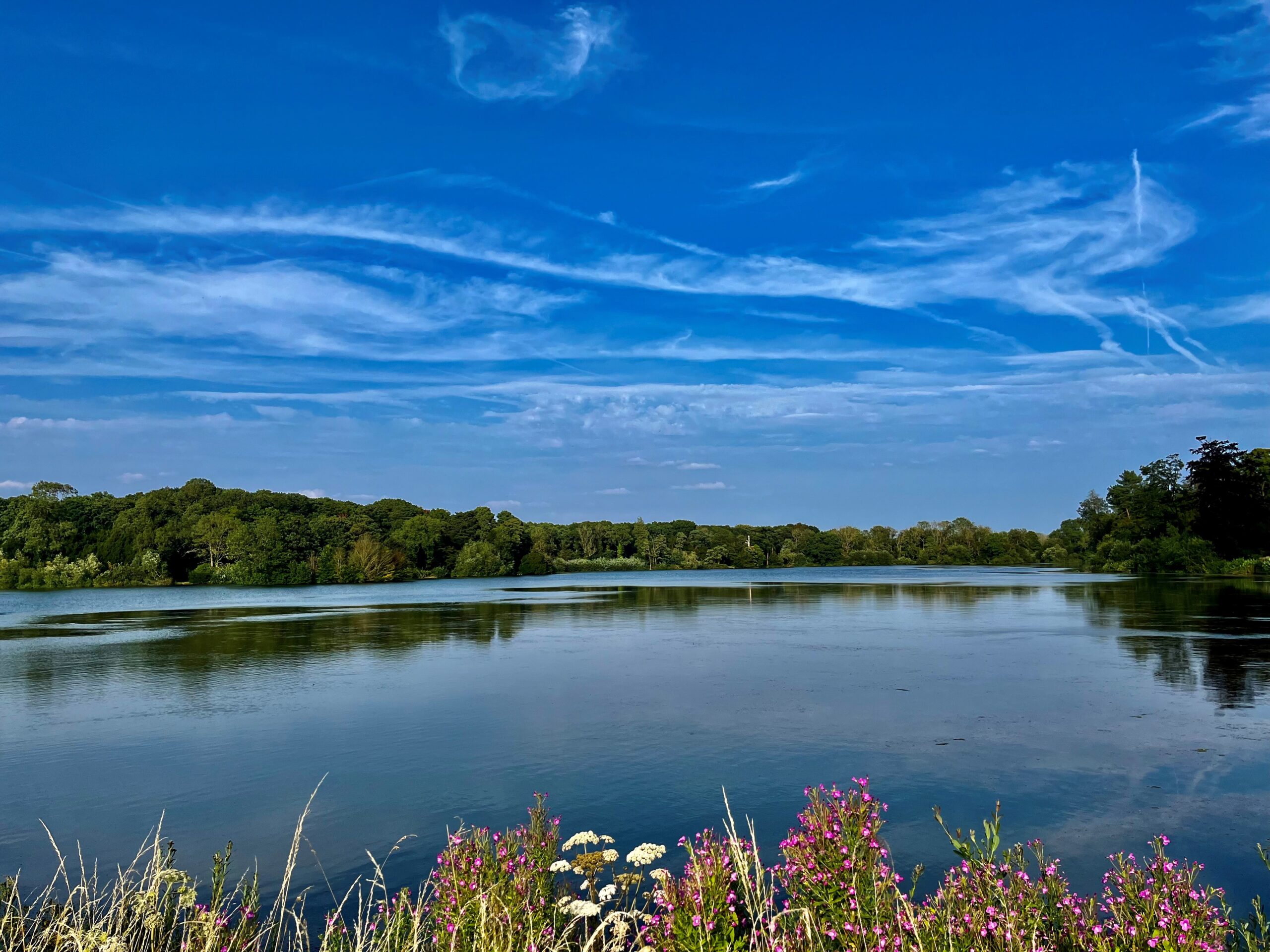 Revesby Estate: Reservoir Netwalk - Lincolnshire Chamber of Commerce